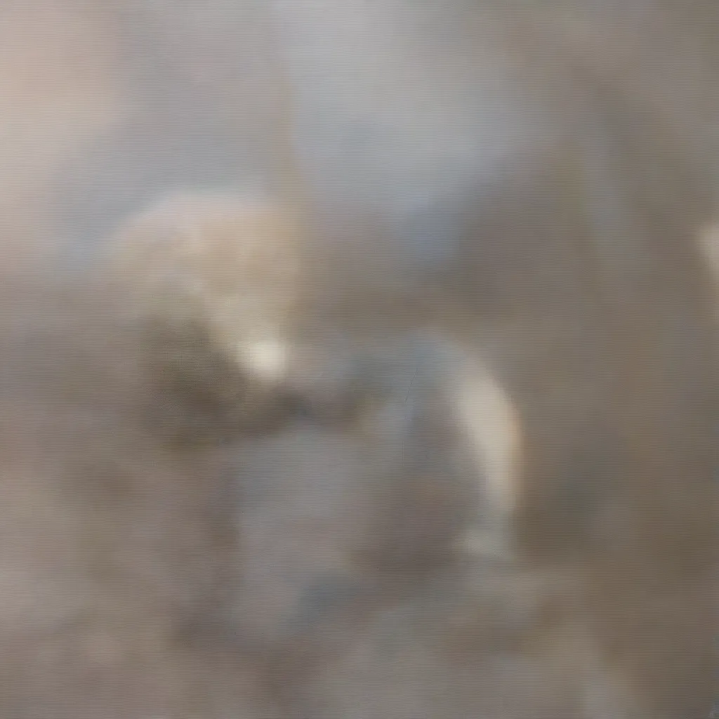 Comprehensive Insights into Spindle Cell Tumours